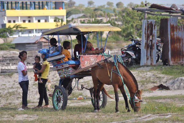 Dokar, Kereta Kuda Khas Palu