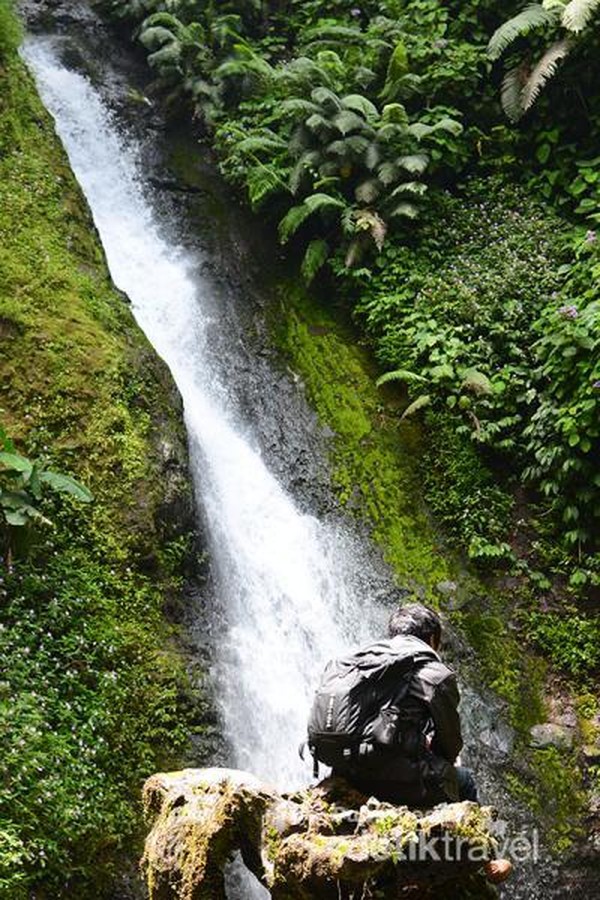 Dua Lagi Spot Menarik di Taman Nasional Gede Pangrango