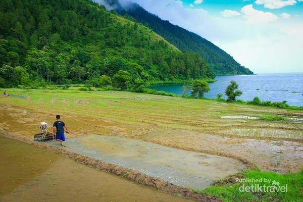 Favorit Turis Jerman, Desa Berumur Ratusan Tahun di Samosir