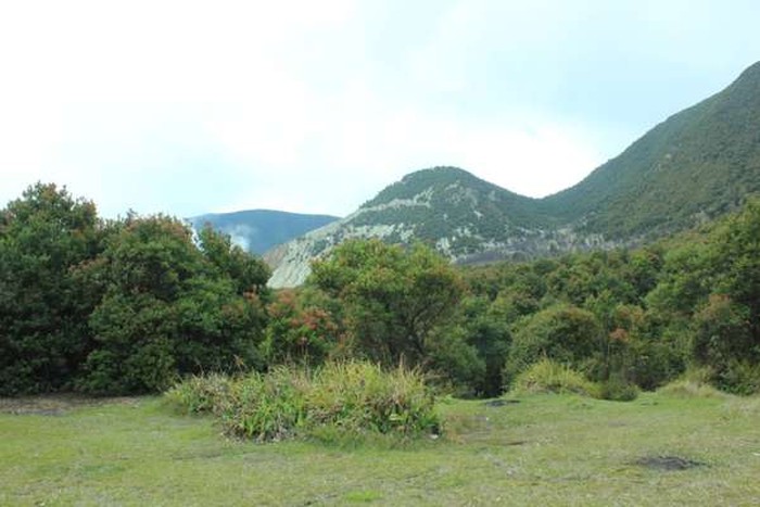 Garut, Swiss Van Java