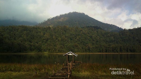 Gunung Argopuro, Surga Savana di Timur Jawa