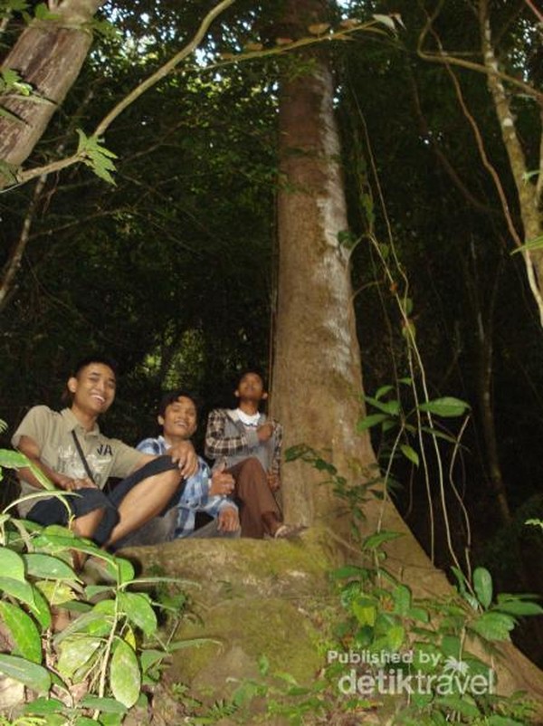 Gunung Lima, 'Jurassic Park' Dari Pacitan