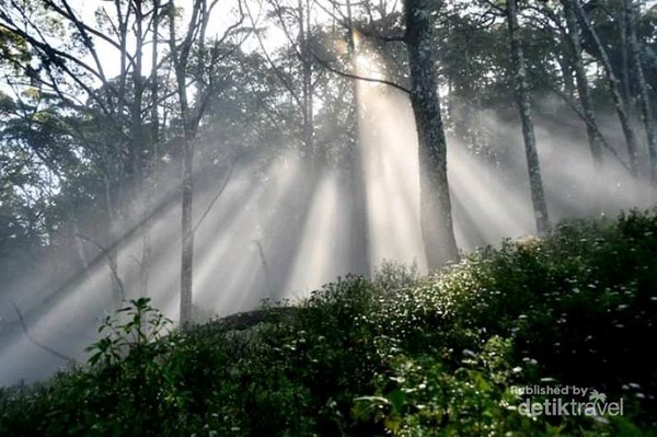 Gunung Mutis, Tempat Bersemayamnya Raja-raja NTT
