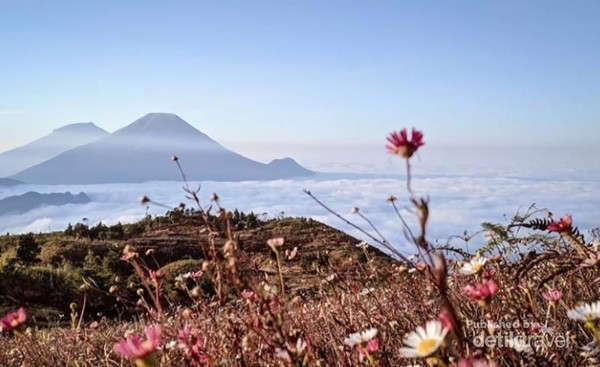 Gunung Prau dan Negeri di Atas Awan