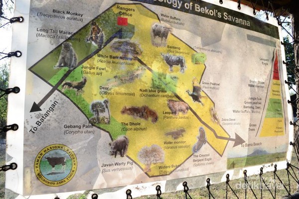 Harga Lengkap dari Fasilitas Taman Nasional Baluran