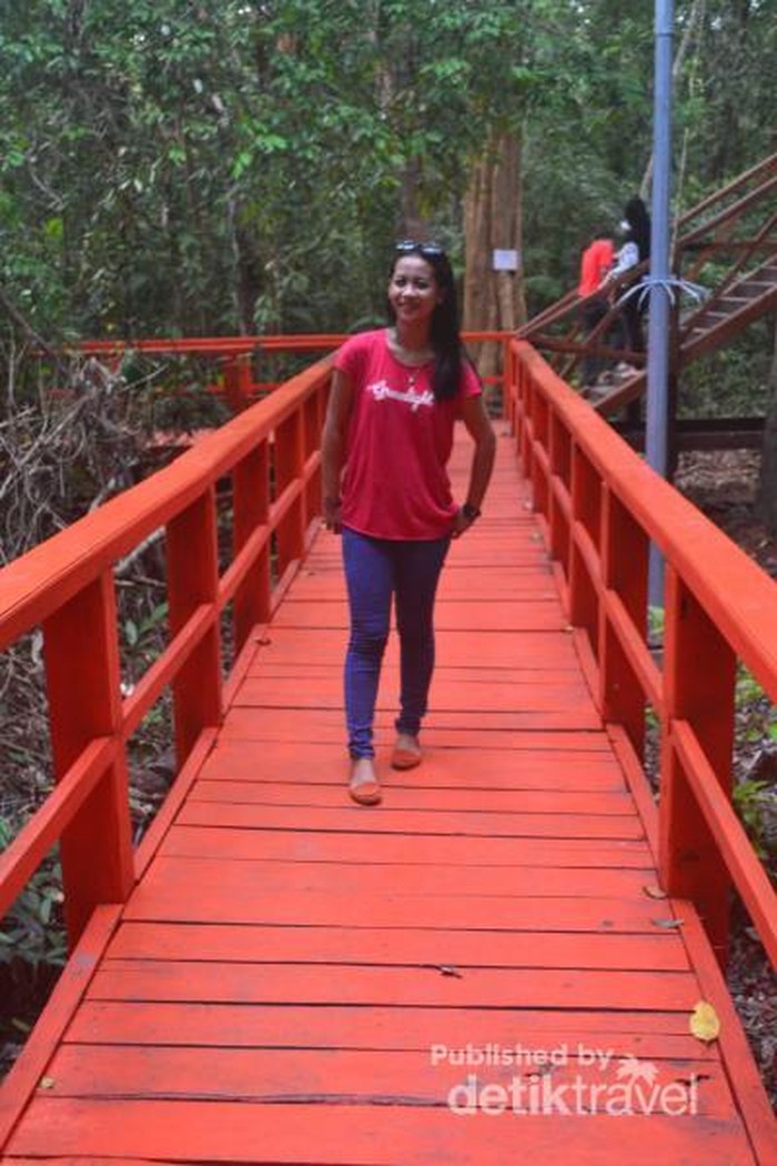 Hutan Pelawan, Bagai Oase Hijau di Pulau Bangka