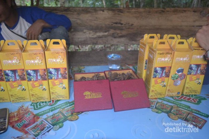 Hutan Pelawan, Bagai Oase Hijau di Pulau Bangka