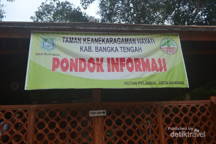 Hutan Pelawan, Bagai Oase Hijau di Pulau Bangka