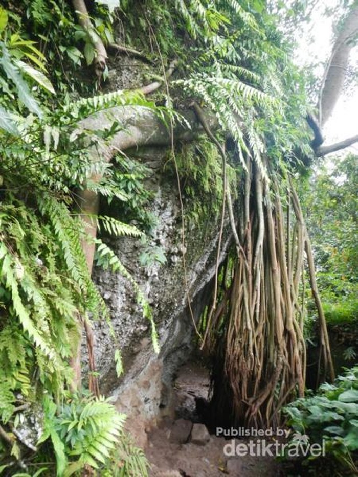 Ide Liburan Weekend Ini, Hiking ke Gunung Munara Bogor