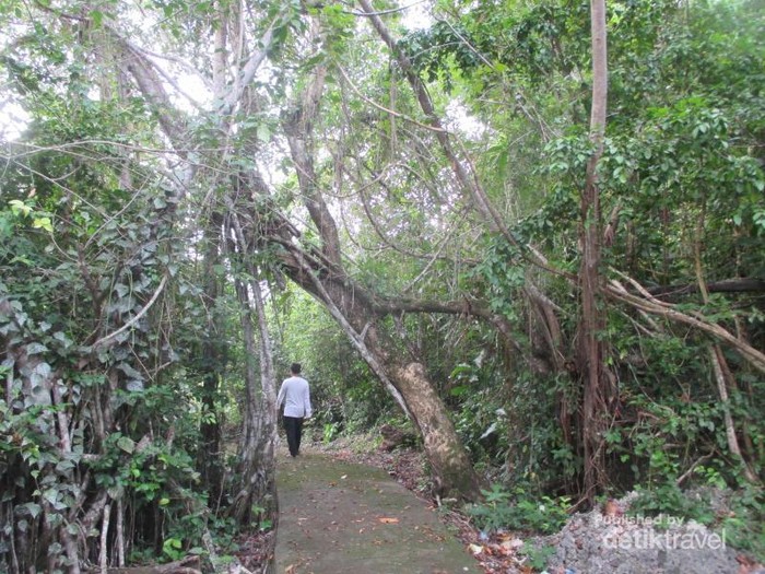 Indah Potret Alam & Kehidupan di Pulau Karampuang