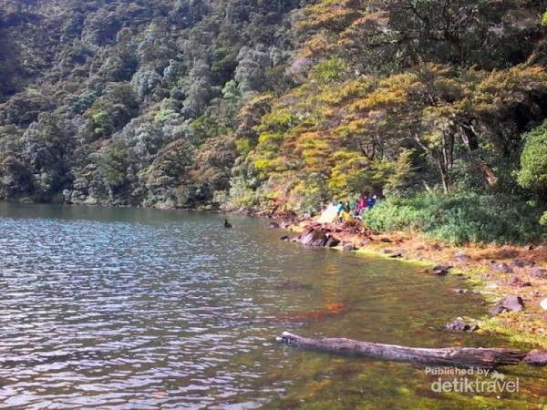 Ini Danau Kumbang, Si Cantik di Gunung Masurai Jambi