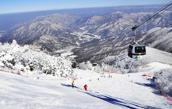 Ini Dia 7 Tempat Bermain Ski Paling Asyik di Korsel