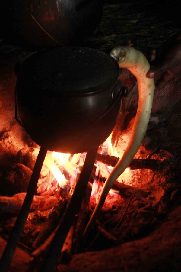 Ini Dia Cara Membuat Koteka