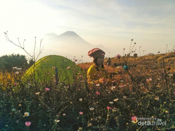 Ini Gunung Favorit untuk Pendaki Pemula