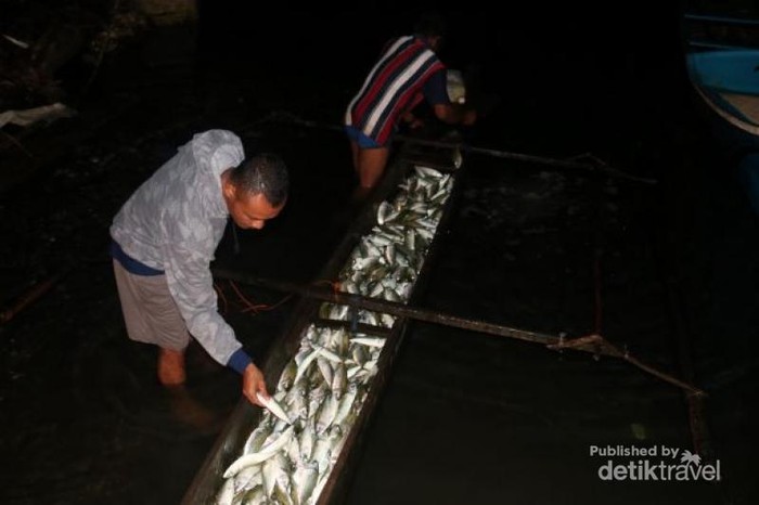 Ini Tradisi Menangkap Ikan di Raja Ampat