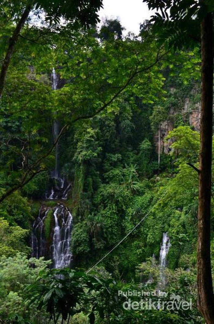 Ini yang Namanya Curup Maung