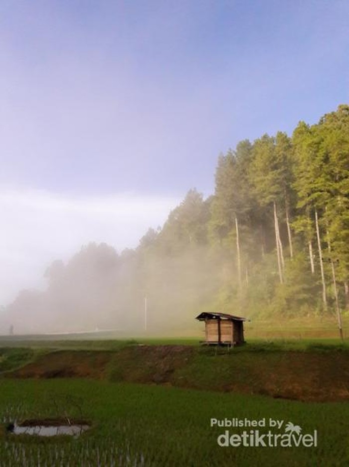 Inilah Negeri di Atas Awan Sulawesi