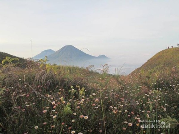 Jalan-jalan Seru ke Gunung Prau!