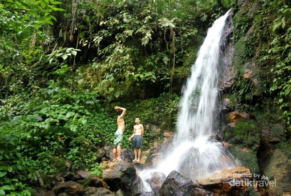 Jamur Menyala dan Indahnya Kabut Halimun