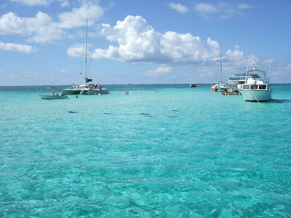Kepulauan Cayman, Alunan Merdu Alam Karibia
