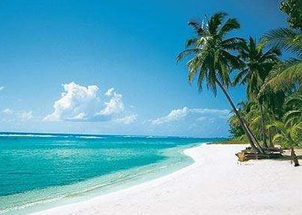 Kepulauan Cayman, Alunan Merdu Alam Karibia