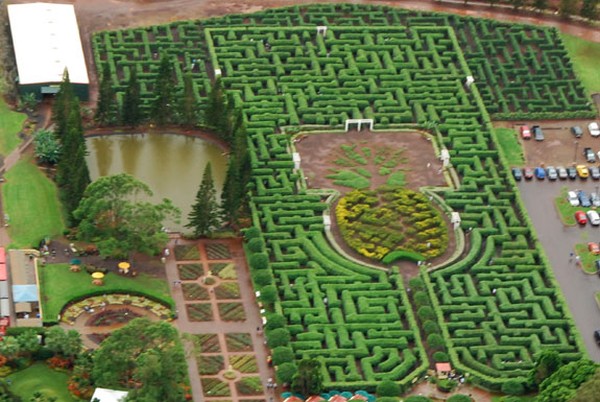 Keren! 7 Taman Labirin Unik nan Rumit di Dunia