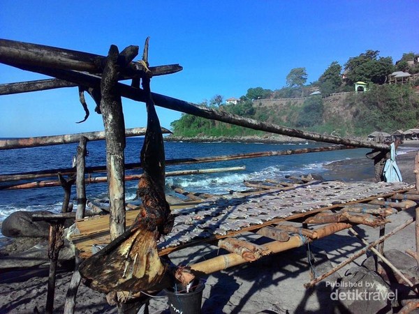 Lamalera dan Tradisi Perburuan Paus