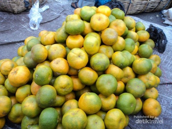 Lebaran di Gayo Aceh, Jangan Lupa Cicip Jeruk Keprok