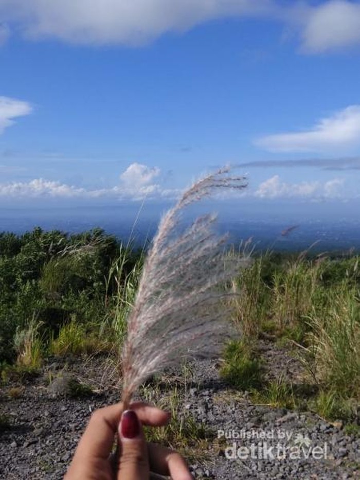 Liburan ke Yogyakarta, Wajib Main ke Lereng Merapi