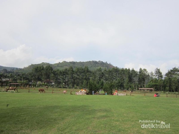 Liburan Murah Meriah Ala Koboi di De Ranch, Bandung