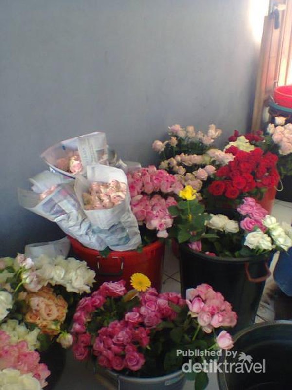 Liburan yang Berbunga-bunga ke Lembang