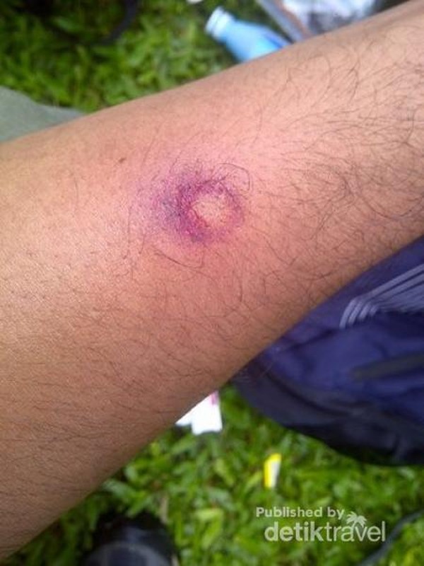 Main Paintball di Berastagi, Seru Banget!