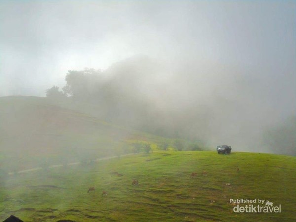 Meleleh oleh Romantisme Kota Soe