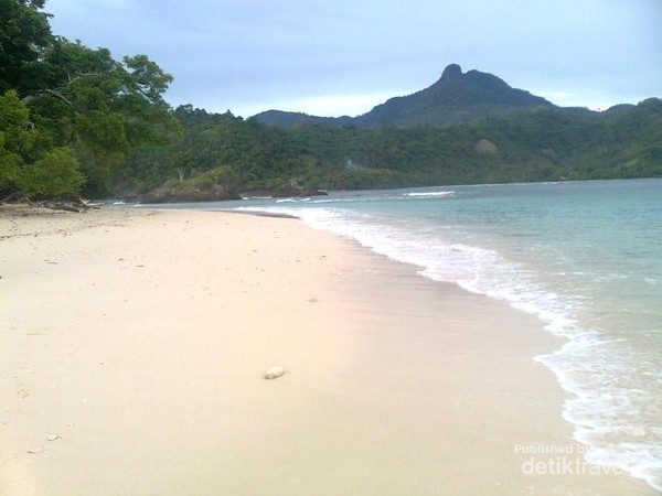 Melihat Lumba-Lumba di Teluk Kiluan
