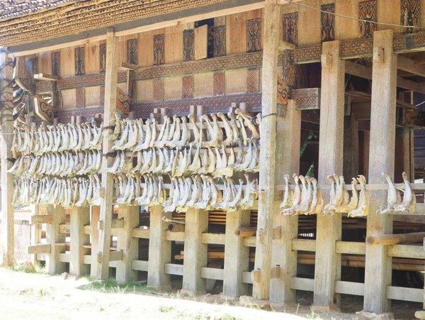 Melihat Toraja Lewat Budaya dan Alamnya yang Indah