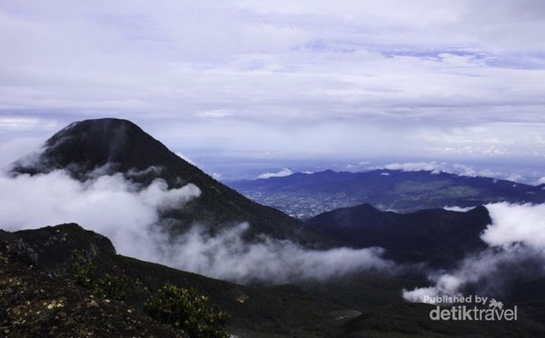 Mencapai Puncak dan Resolusi Hidup di Gunung Gede