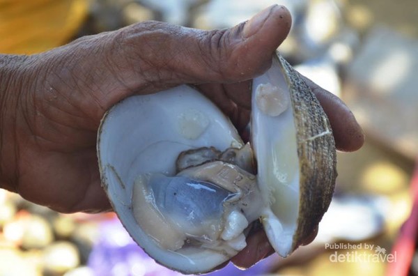 Mengenang Festival Kalandue yang Khas dari Kendari