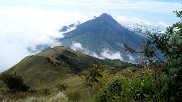 Menggapai Langit dari Puncak Gunung Merbabu