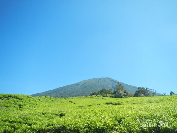 Menggapai Langit di Puncak Gunung Dempo
