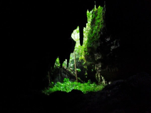 Menjelajah Gua Walet dan Snorkeling di Kotabaru, Kalsel