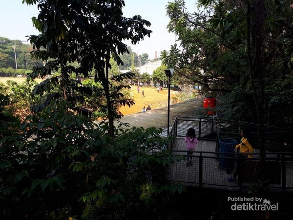 Minggu Pagi di Bandung: Jelajah Babakan Siliwangi