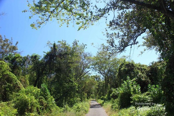 Miniatur Alam Indonesia di Taman Nasional Baluran