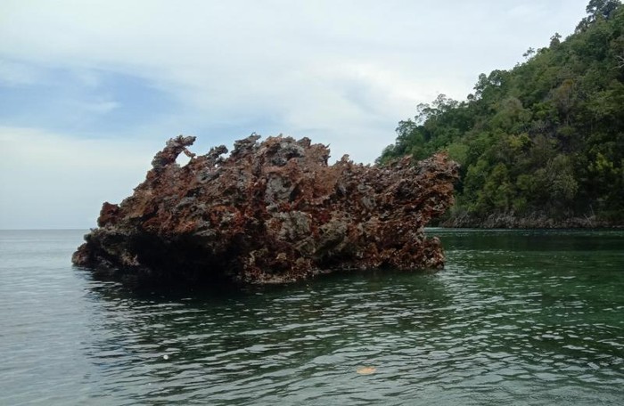 Misool yang Cantik, Bak Gadis Sedang Berdandan