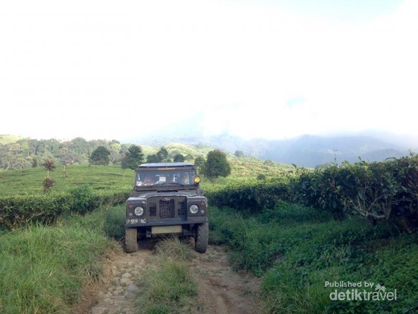 Off Road Seru di Royal Safari Garden, Puncak