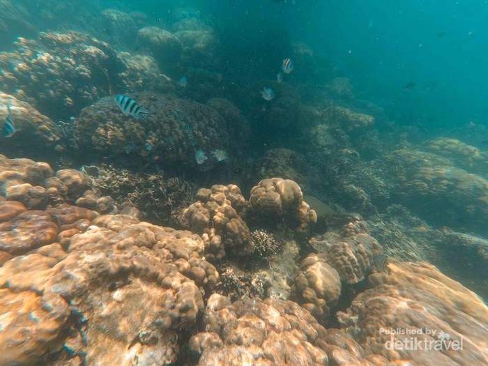 Pahawang, Keindahan Tersembunyi dari Lampung