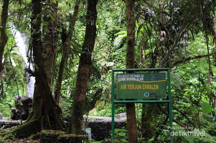 Pemandangan Indah dari Canopy Trail Cilawen Pemandangan Indah dari Canopy Trail Cilawen