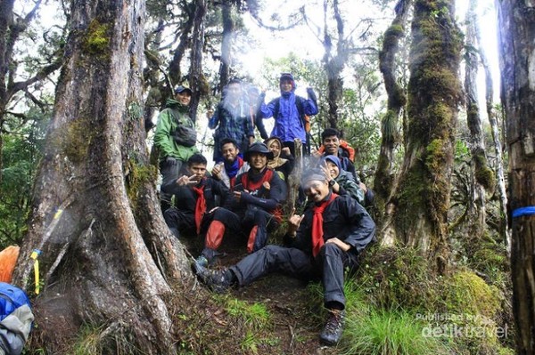 Pengalaman Ekstrem Mendaki Gunung Tertinggi di Sulawesi Tenggara