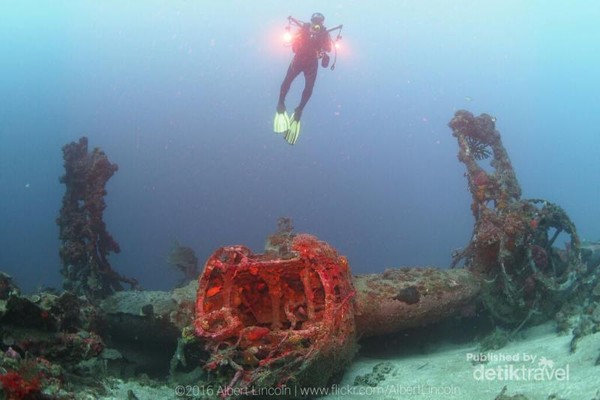 Pengalaman Menyelami Alam Bawah Laut Tobelo, Morotai, dan Jailolo