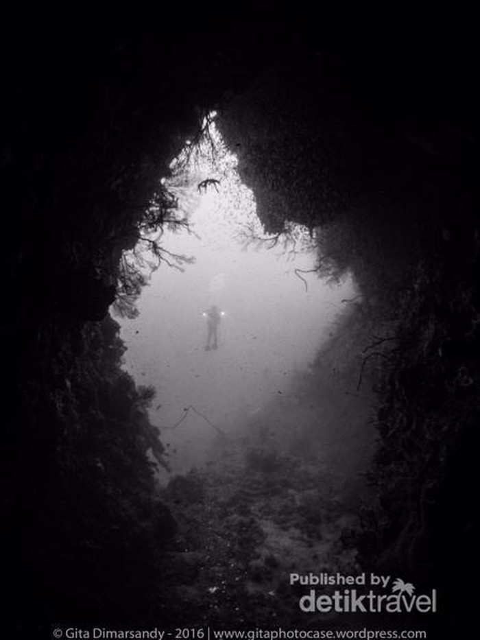 Pengalaman Menyelami Alam Bawah Laut Tobelo, Morotai, dan Jailolo