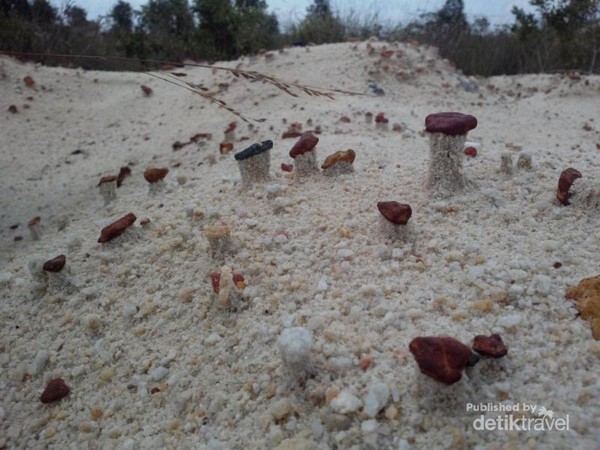 Pergi Mem'bolang' ke Membalong di Sisi Selatan Belitung